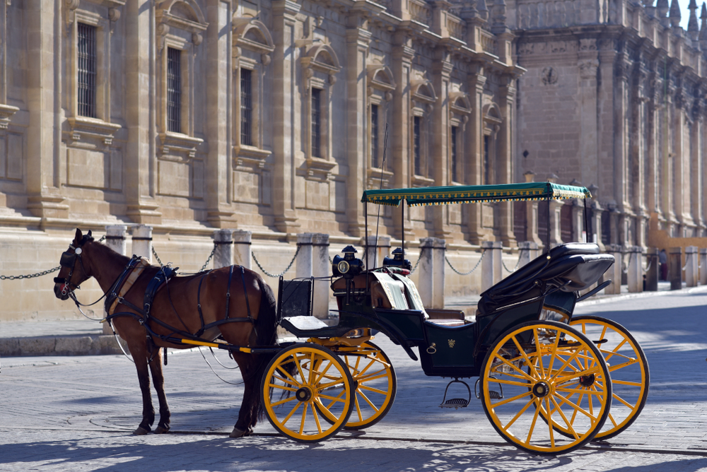 Idioms from Transportation: What do they mean?